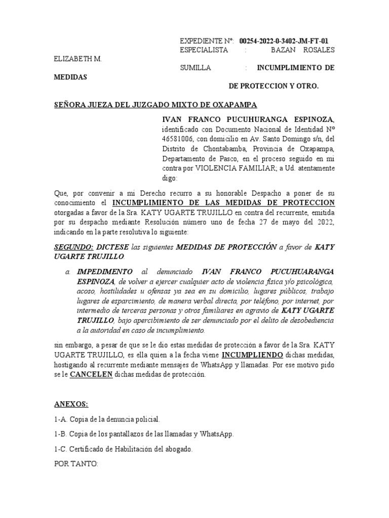 Incumplimiento de Medidas de Proteccion Franco Pucuhuaranga Espinoza ...