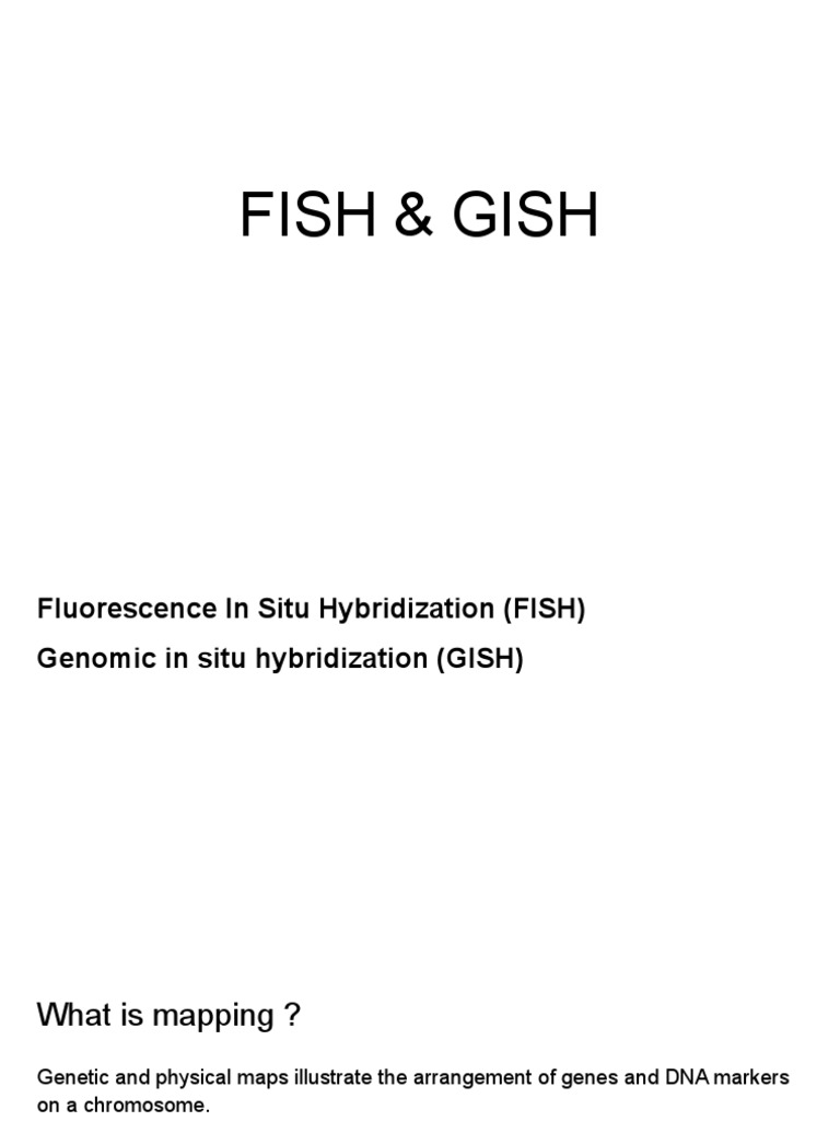 Fish & Gish | PDF