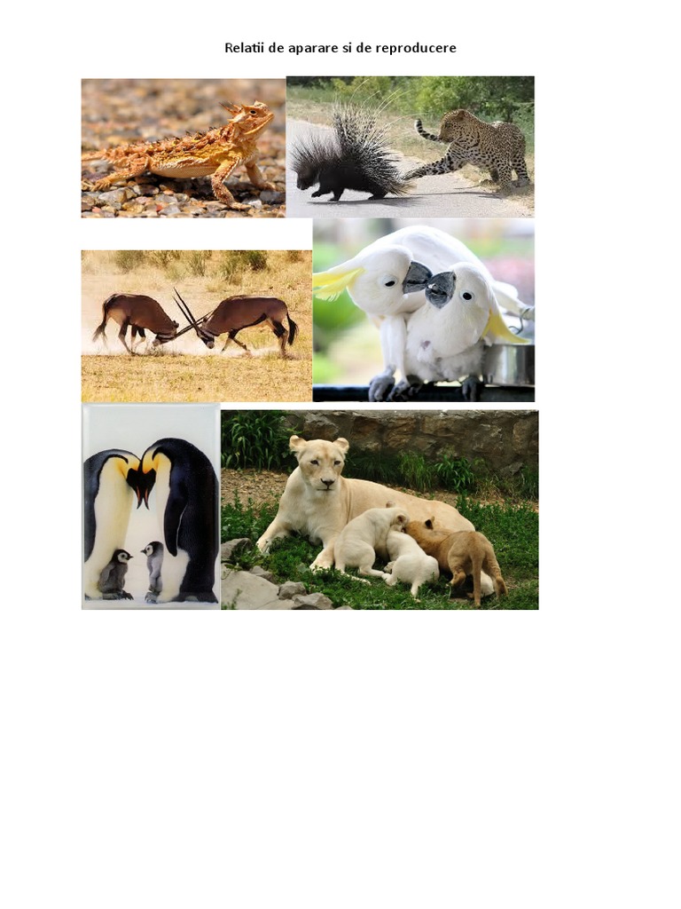 Relatii de Aparare Si de Reproducere | PDF