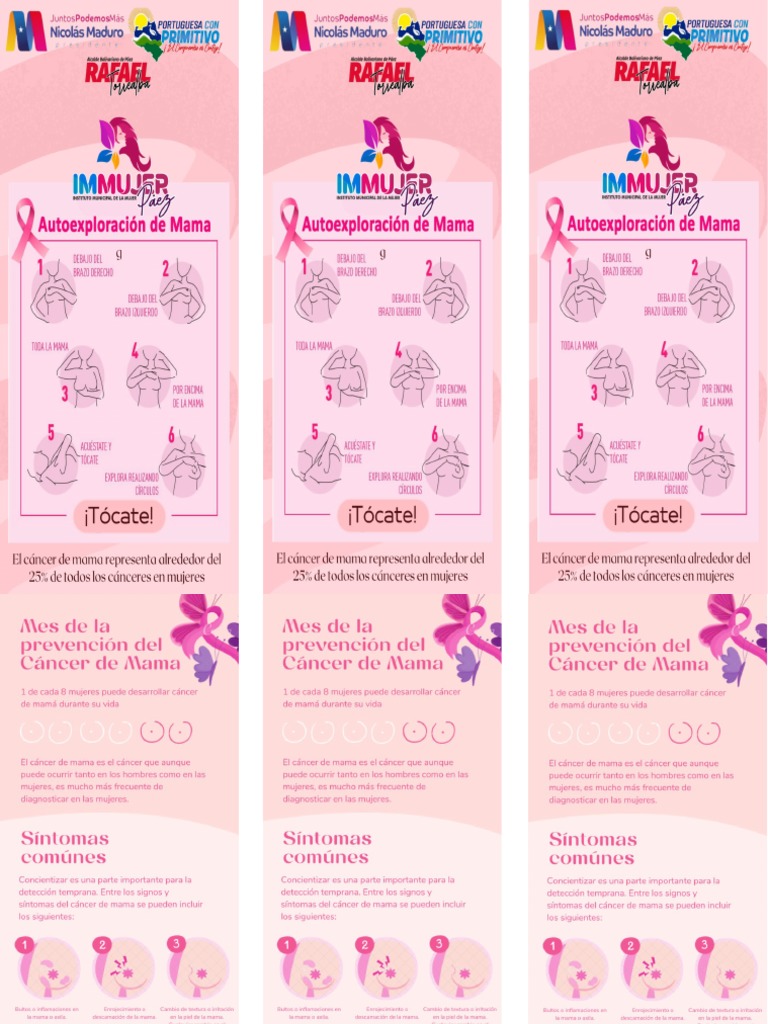 Folleto Cancer Mama | PDF