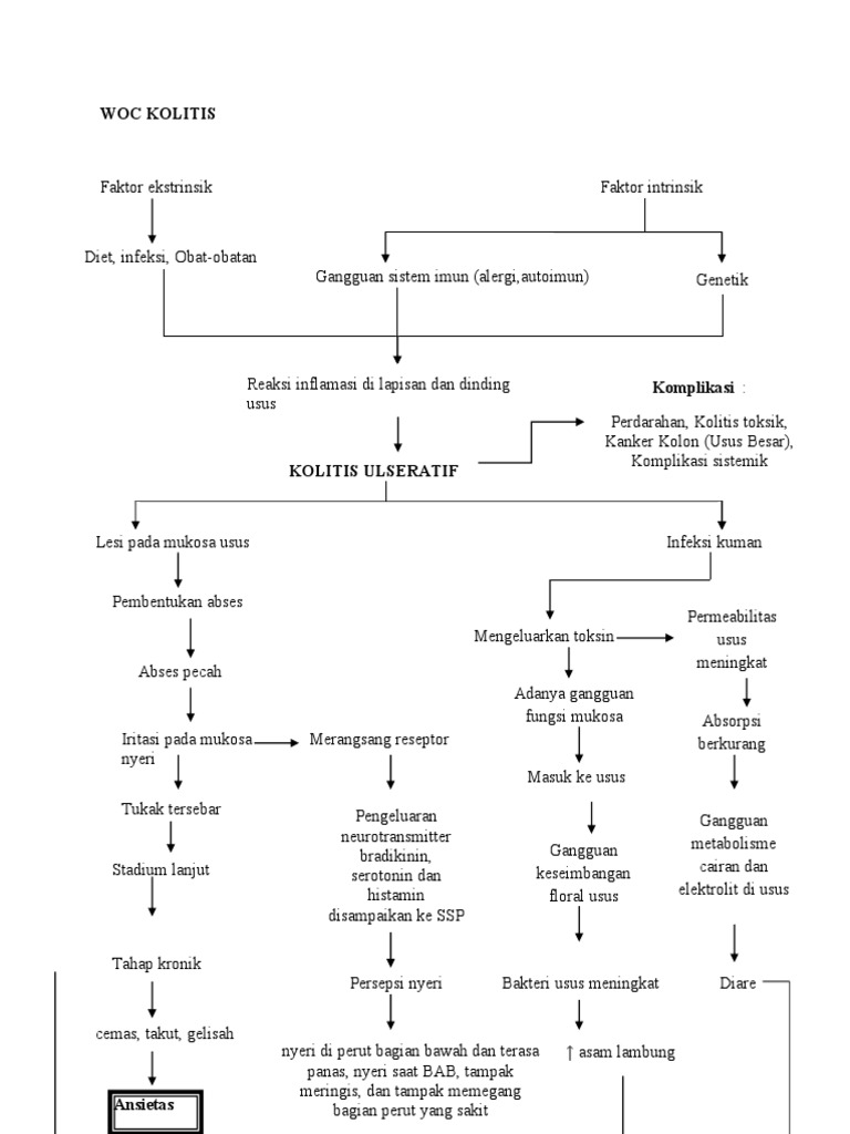 Toaz - Info Pathway Kolitis PR | PDF