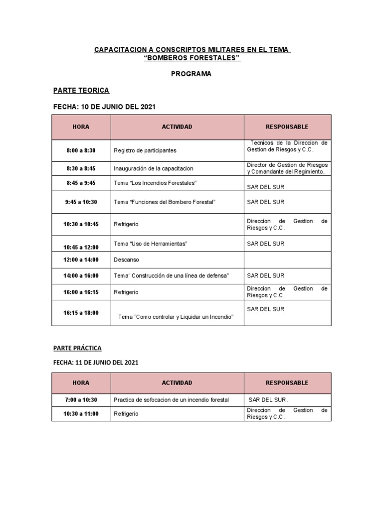 Programa Taller | PDF | Peligros | Incendios