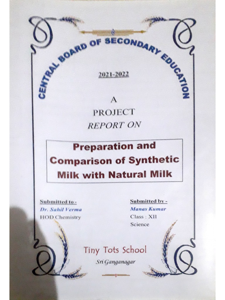 Chemistry Project Report | PDF