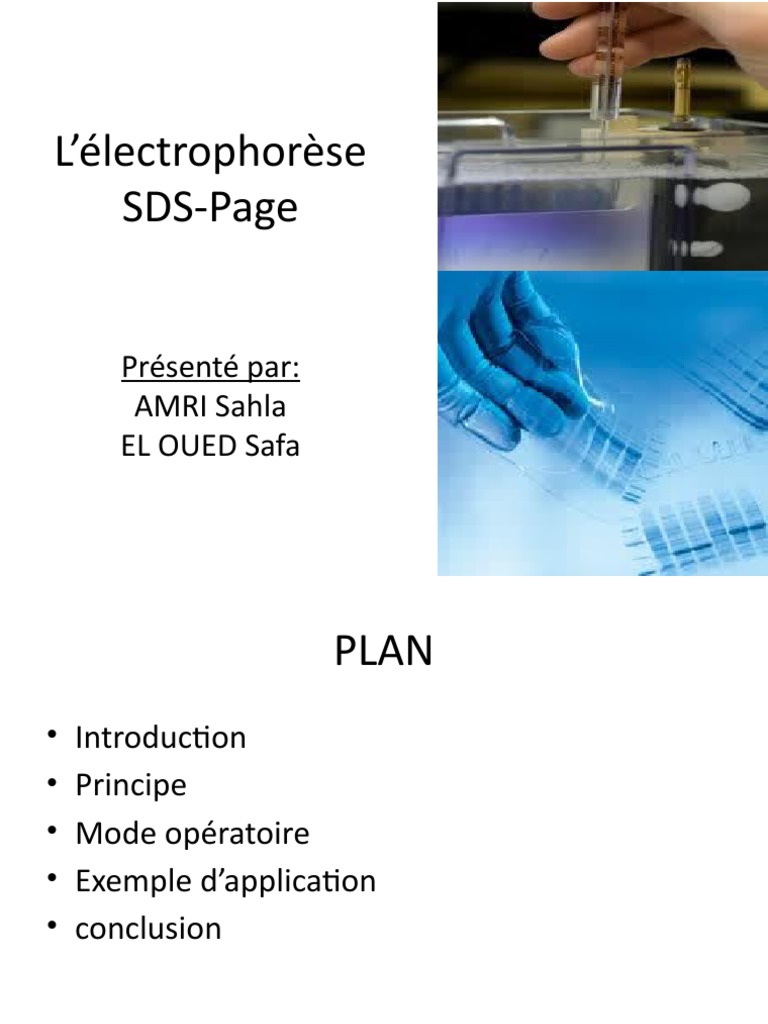 L - Éléctrophorèse SDS-Page Final | PDF | Chimie | Sciences physiques