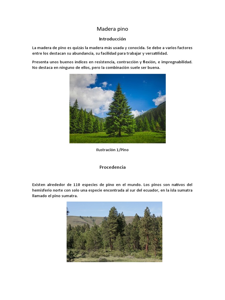 Pino | PDF | Pino | Madera