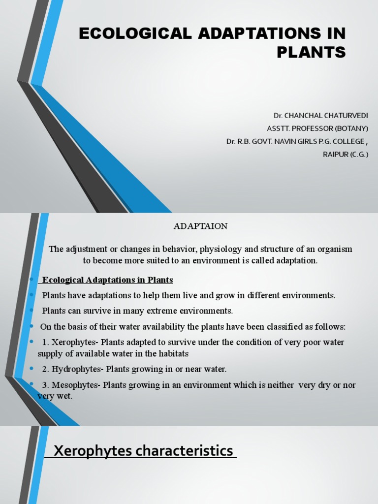 Ecological Adaptations in Plants | PDF