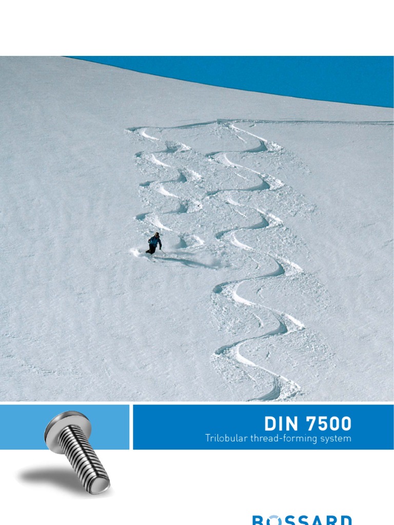 Bossard Taptite Self Tapping Screw Catalogue | PDF | Screw | Crafts