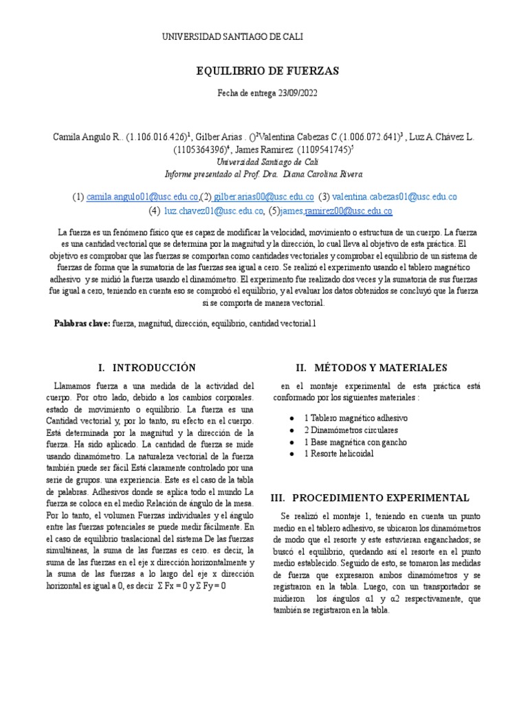 Informe Equilibrio de Fuerzas | PDF | Fuerza | Vector Euclidiano