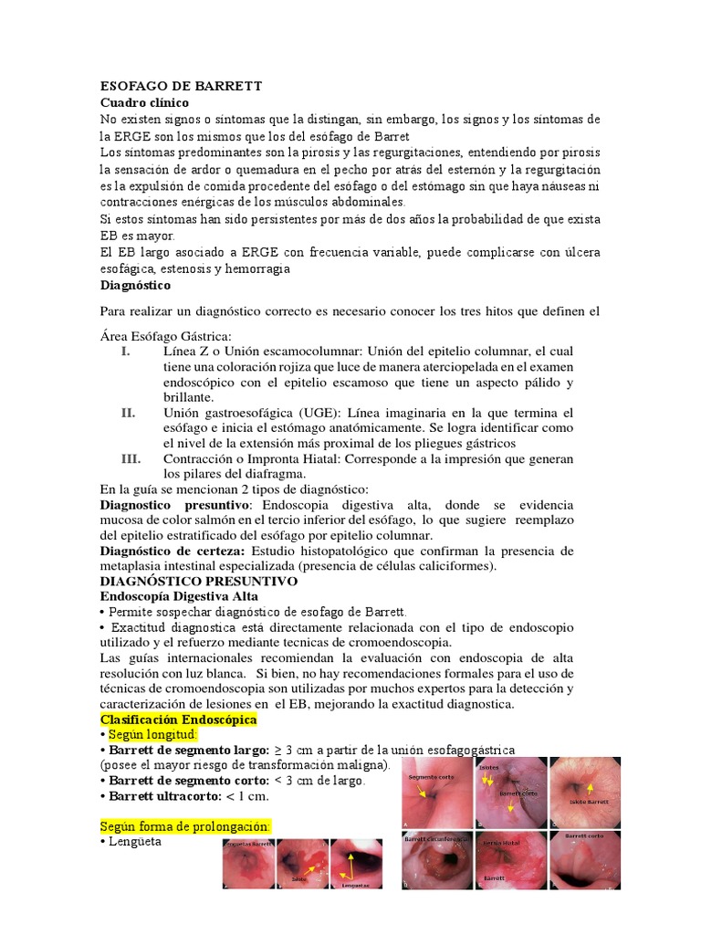 Esofago de Barrett - Exp | PDF | La enfermedad por reflujo ...