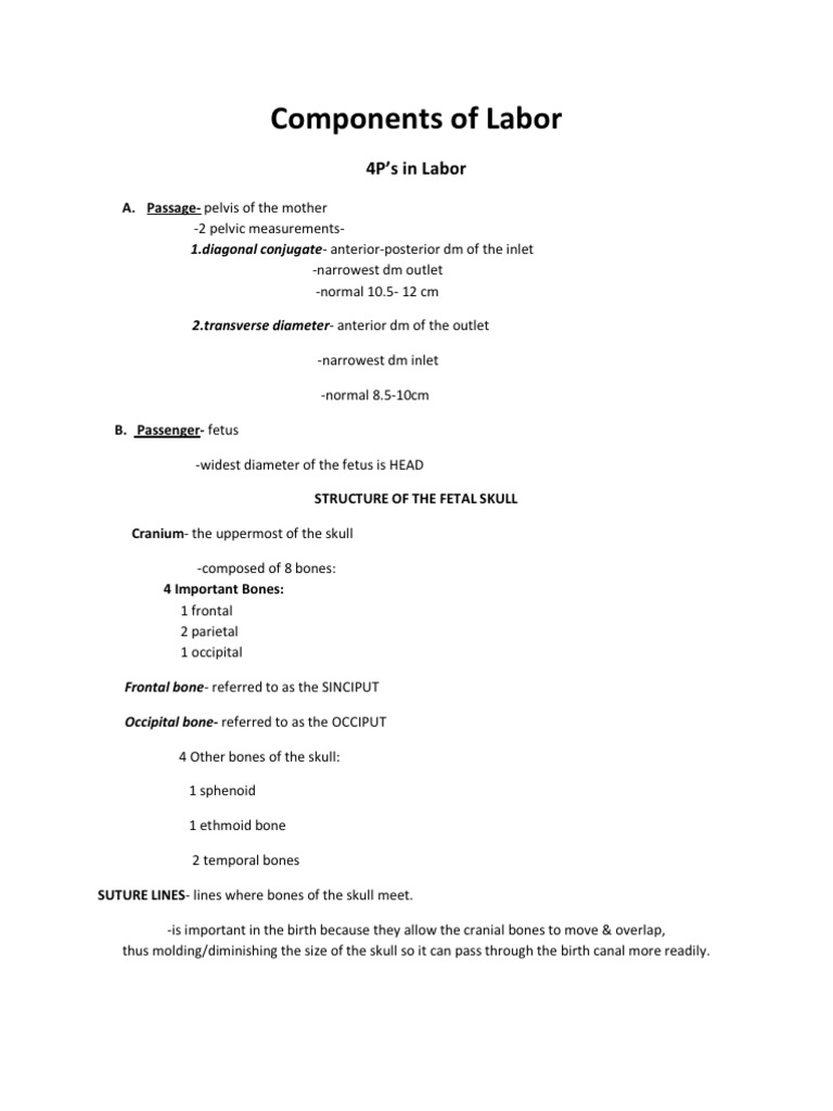 Components of Labor | PDF