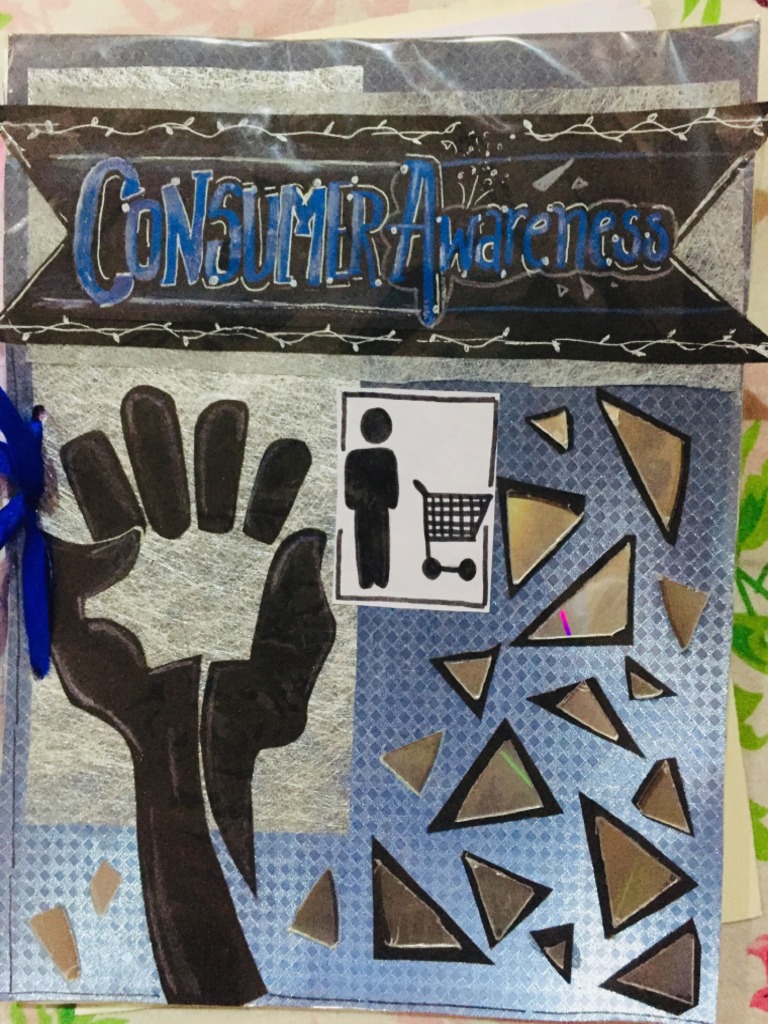 Consumer Awareness Project | PDF