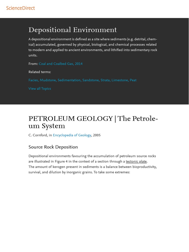 Depositional Environment | PDF | Sedimentary Rock | Petroleum Reservoir