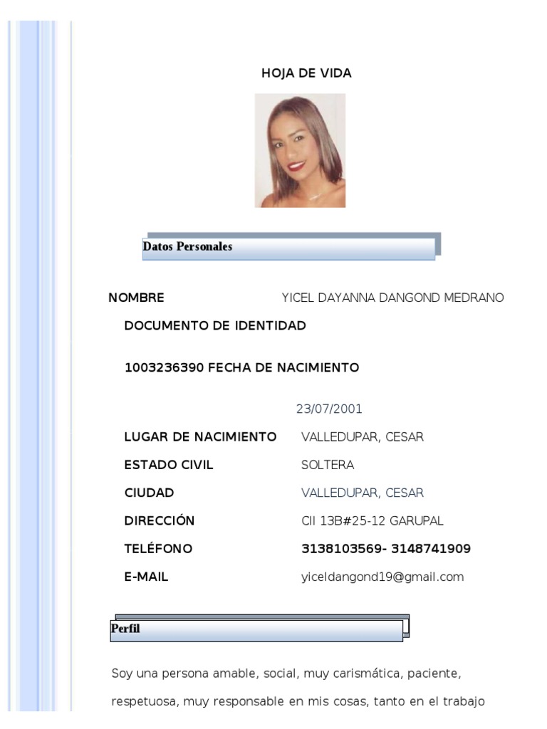 Hoja de Vida Yicel Dangon | PDF