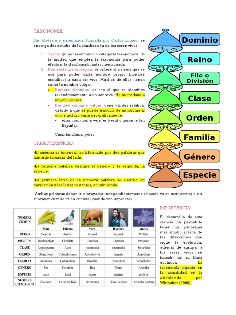 TAXONOMÍA | PDF | Las bacterias | Taxonomía (biología)