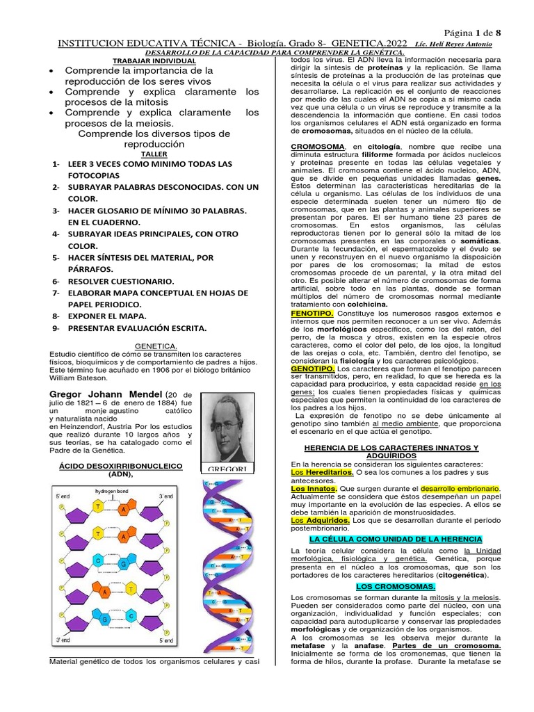 8° Guía 02 Taller - Genetica Humana | PDF | Dominancia (Genética) | Alelo