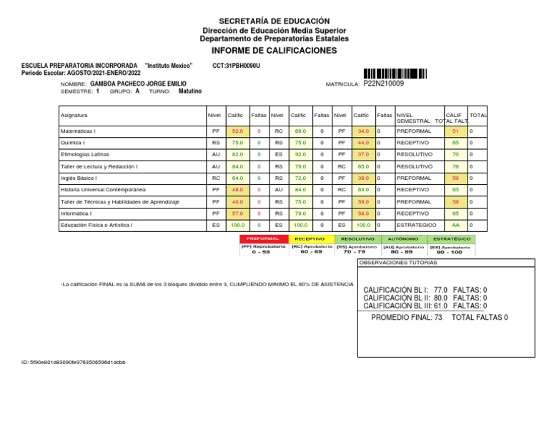 Informe de Calificaciones | PDF