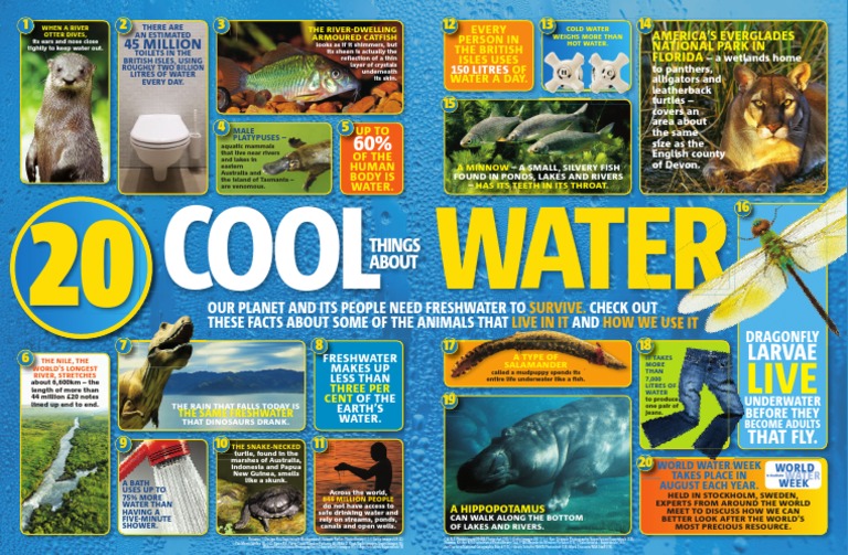 20 Fascinating Facts About Water | PDF | Water | Organisms