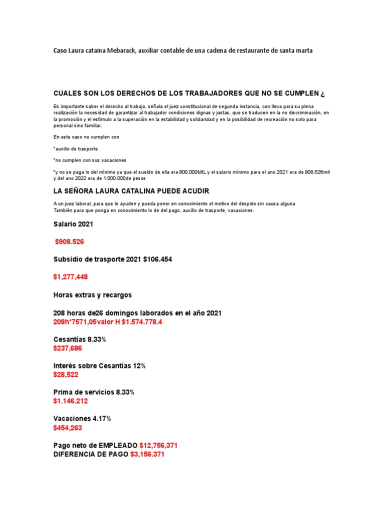 Caso Laura Cataina Mebarack | PDF | Negocios | Finanzas y dinero