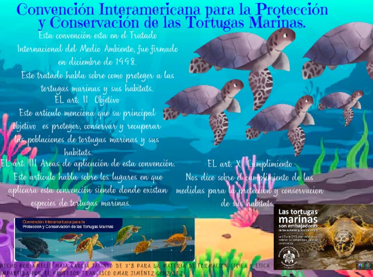 Protección de Tortugas Marinas | PDF | Ciencia y matemáticas