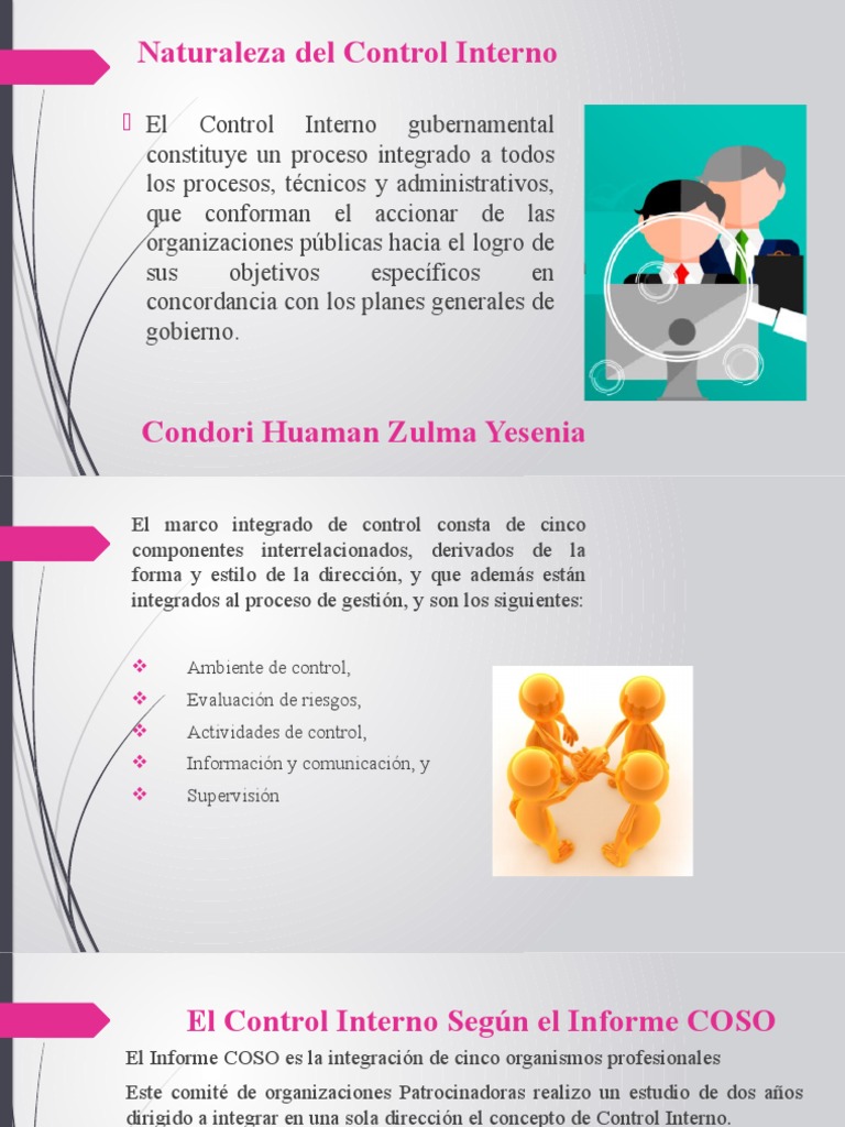Naturaleza Del Control Interno | PDF | Información