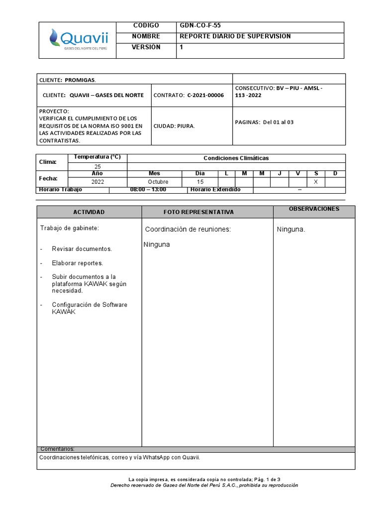 Reporte Diario 4 | PDF