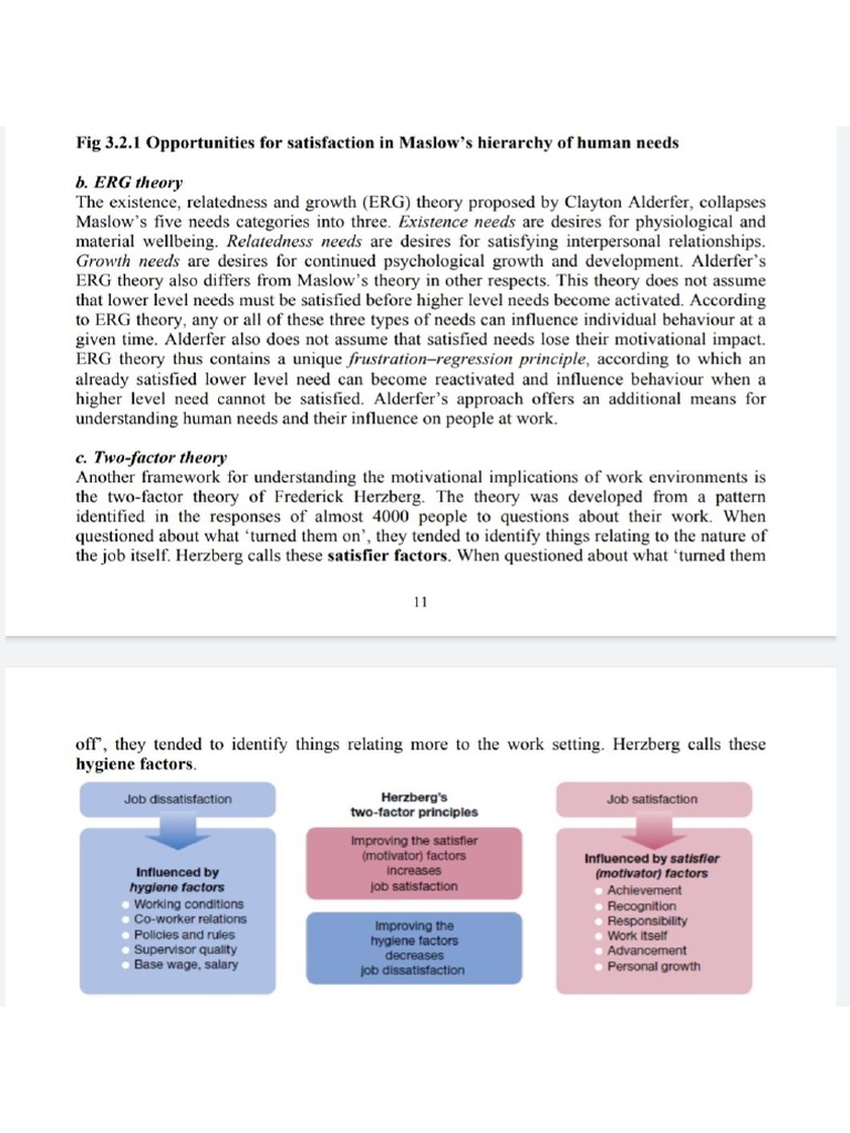 ERG and Two Factor Theory | PDF