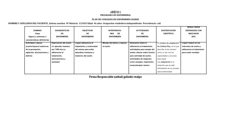 Plan de Cuidados Salud Mental | PDF | Enfermería | Epidemiología