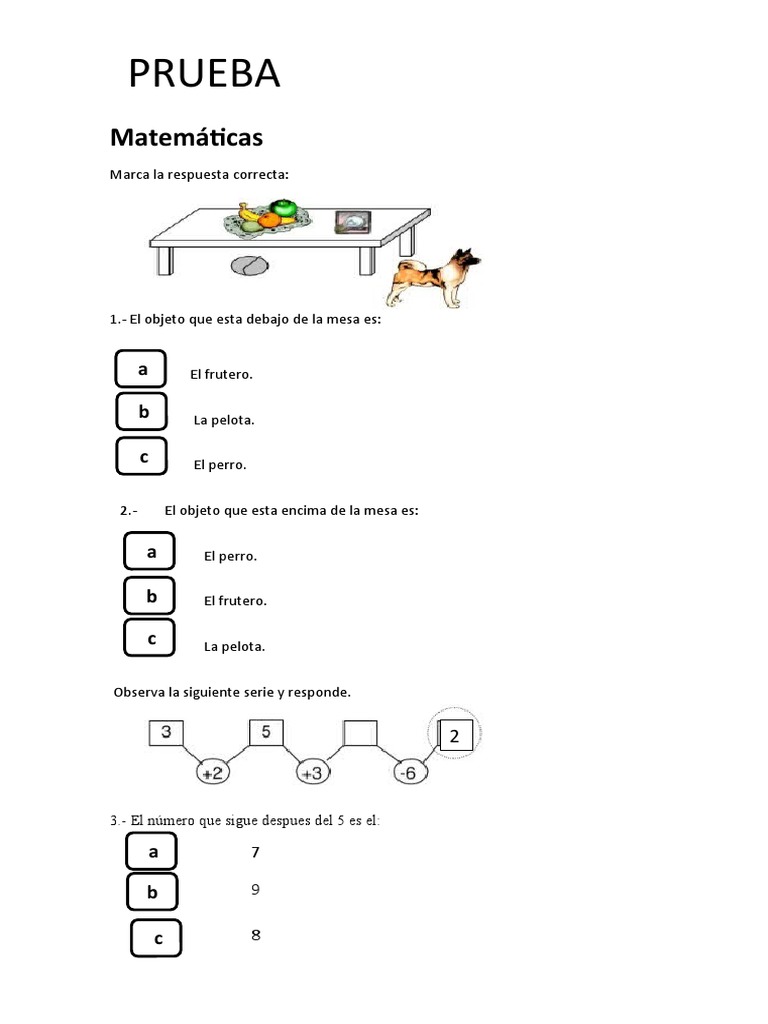 Examen de Conocimientos Primer Grado | PDF
