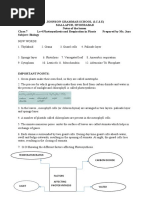 Lab Report Starch | PDF | Leaf | Photosynthesis
