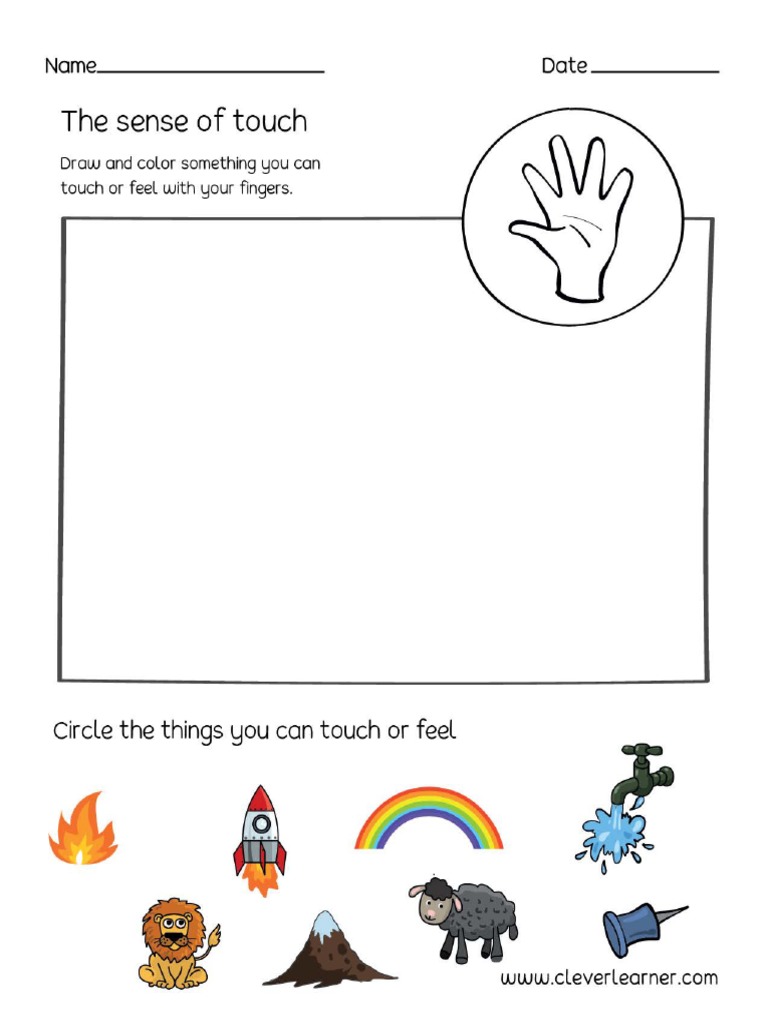 The Sense of Touch Preschool Activity | PDF