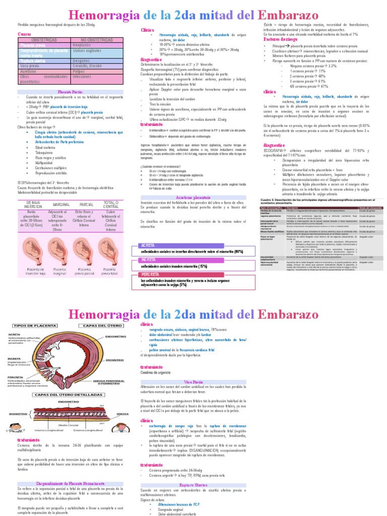 Hemorragia de La 2da Mitad Del Embarazo | PDF | Placenta | Salud maternal