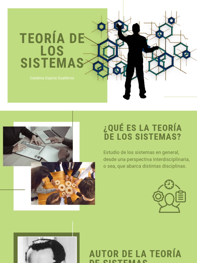 Teoría de Sistemas | PDF