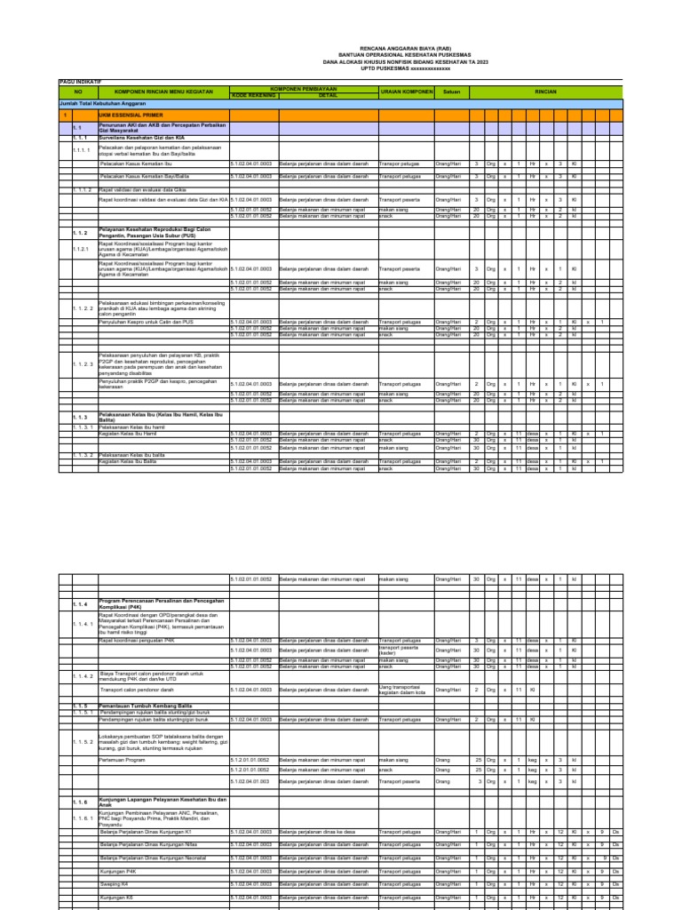 TEMPLATE RAB BOK PUSKESMAS TA 2023 Update | PDF