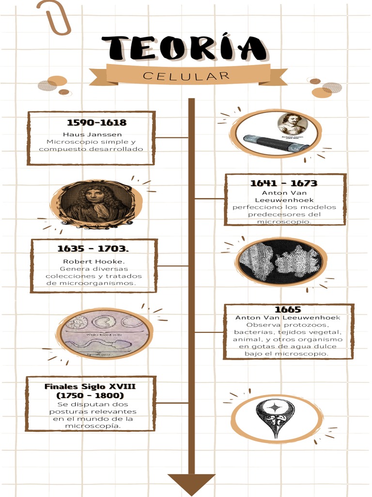 Línea de Tiempo Teoría Celular | PDF | Biología Celular) | Microscopio