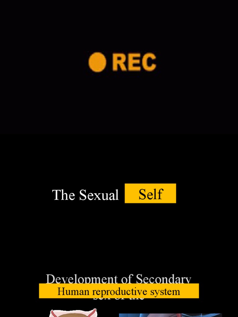 The Sexual Self Pdf Puberty Human Body 1292