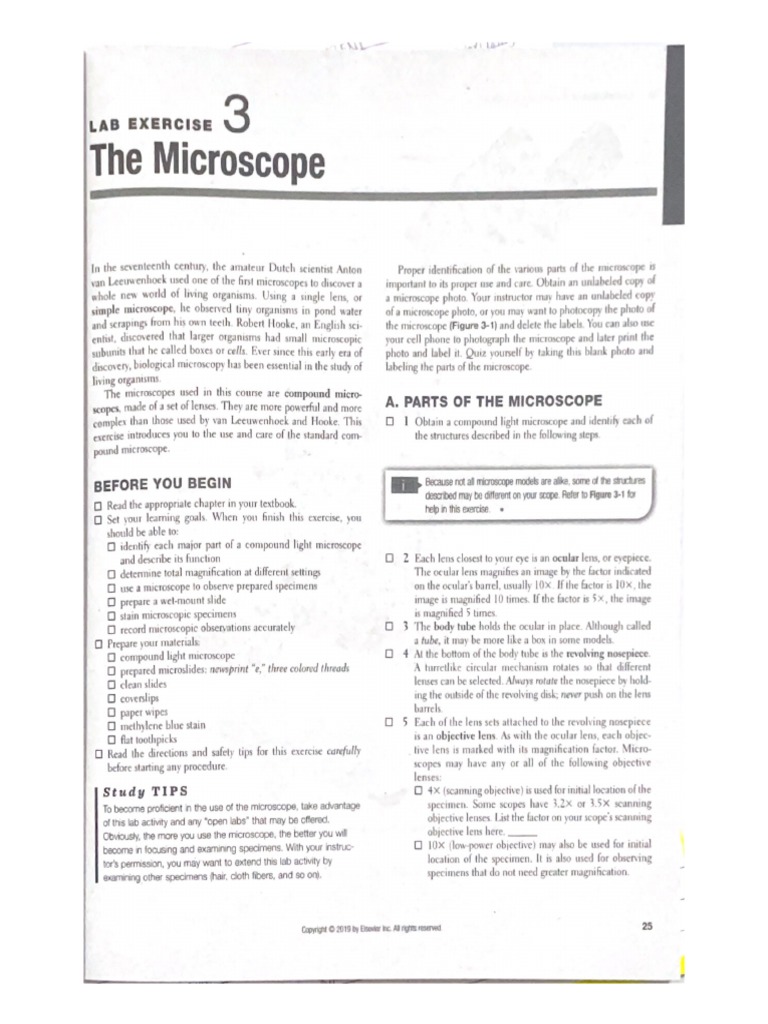 Lab Ex.3 Microscope | PDF