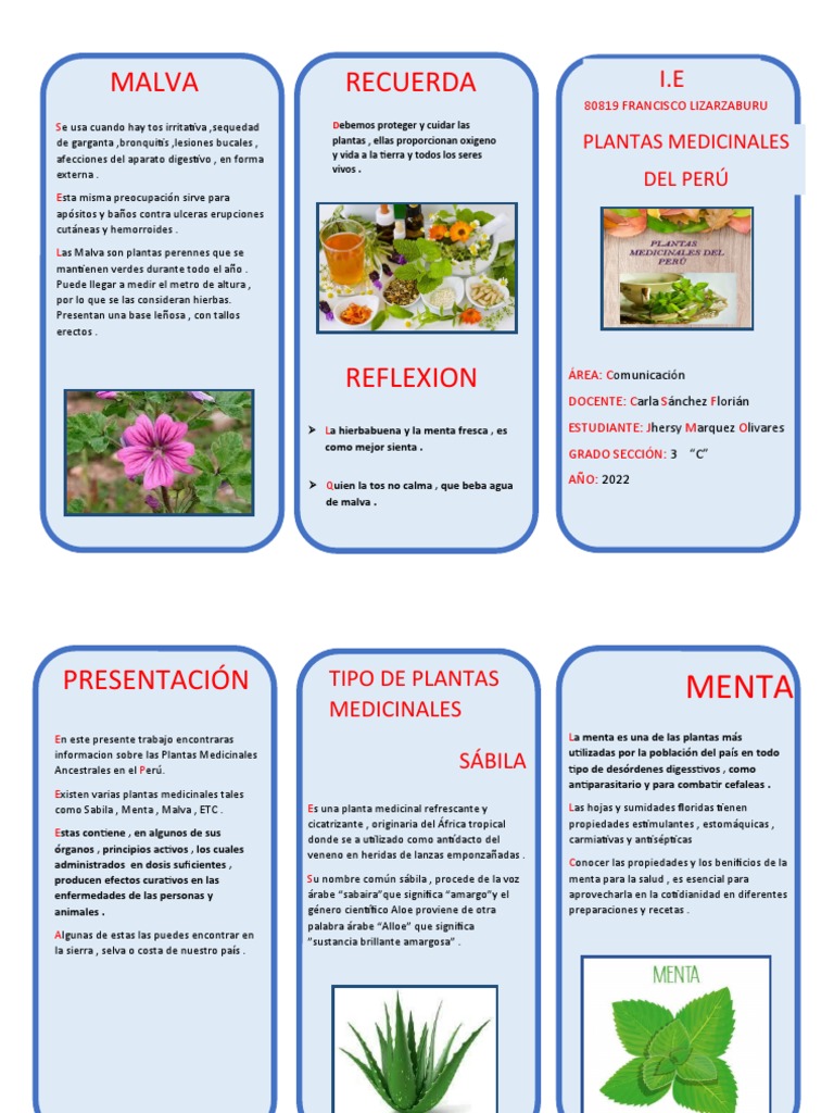 Malva Recuerda: Plantas Medicinales Del Perú | PDF | Plantas ...