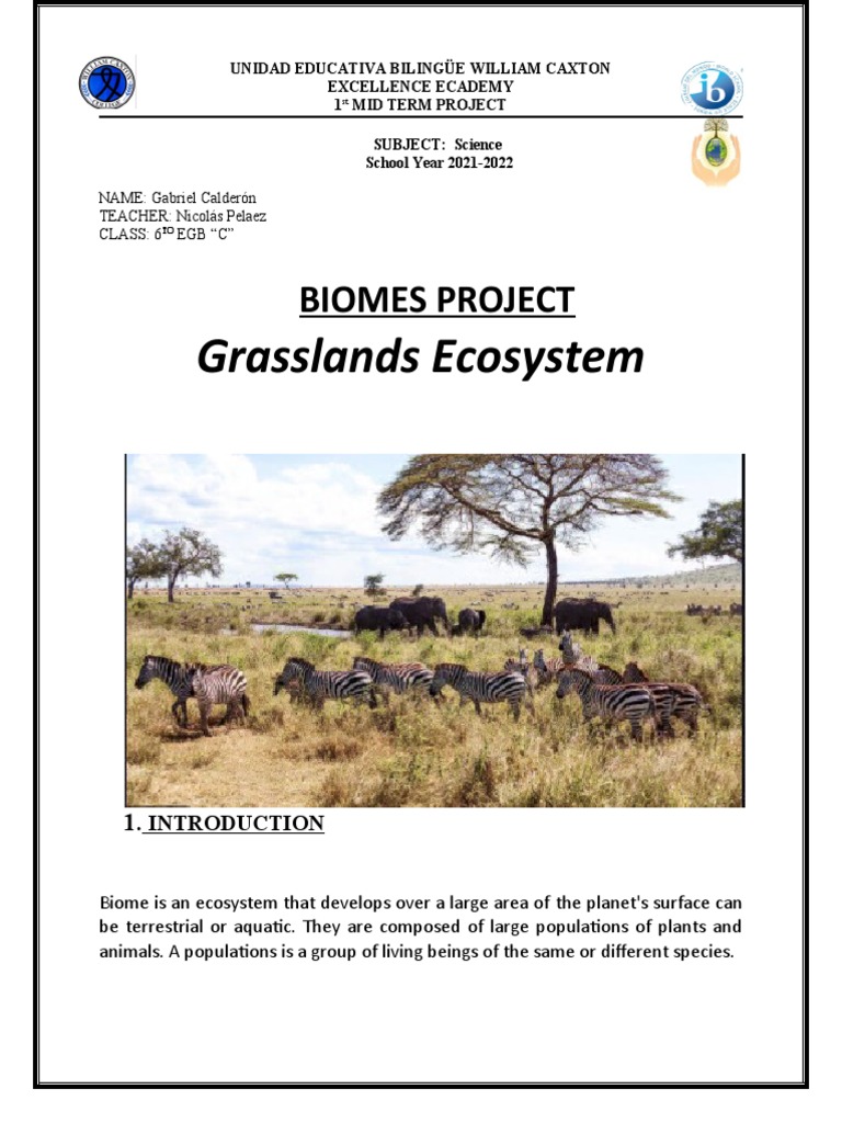 Savanna Biomes Science Project