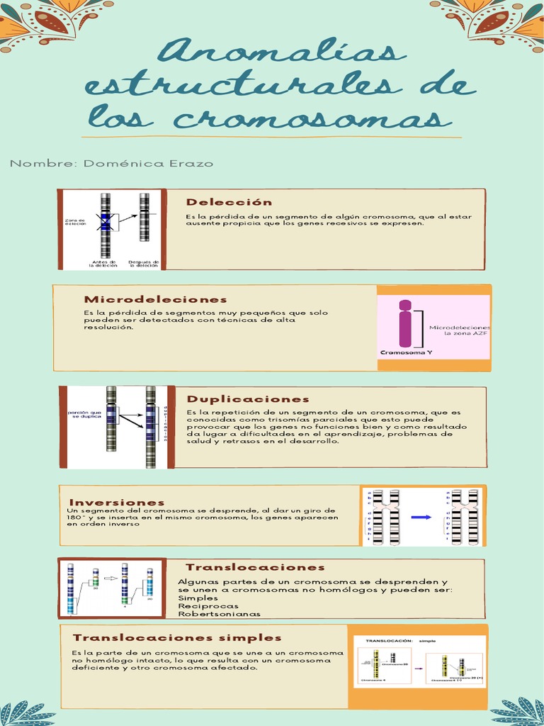 Anomalías Estructurales de Los Cromosomas | PDF | Cromosoma | Biología Molecular