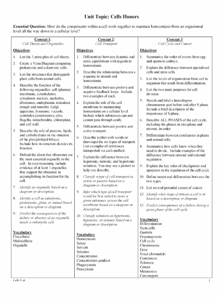Unit 2 Cells Digital Packet | PDF | Cell (Biology) | Endoplasmic Reticulum