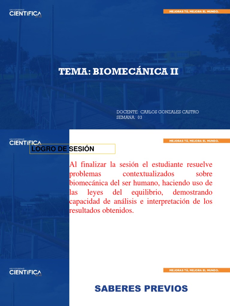 Biomecánica II: Torque y Palancas | PDF | Palanca | Mecanica clasica