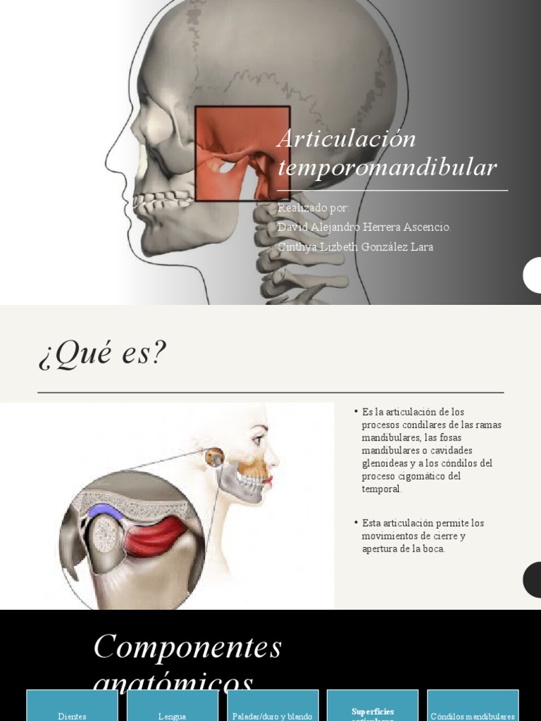 Articulacion Temporomandibular. | PDF | Anatomía humana | Sistema ...