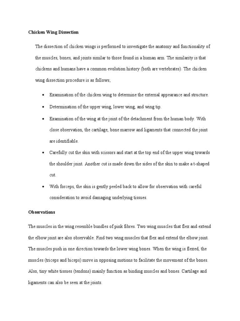 Chicken Wing Anatomy Dissection Guide | PDF