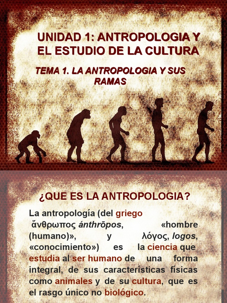Introducción a la Antropología Cultural | PDF | Antropología | Arqueología
