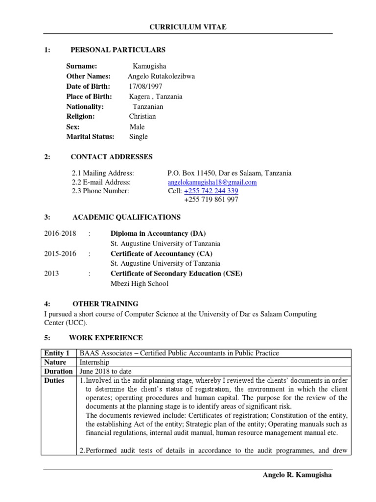 Angelo Kamugisha - CV | PDF | Tanzania | Audit