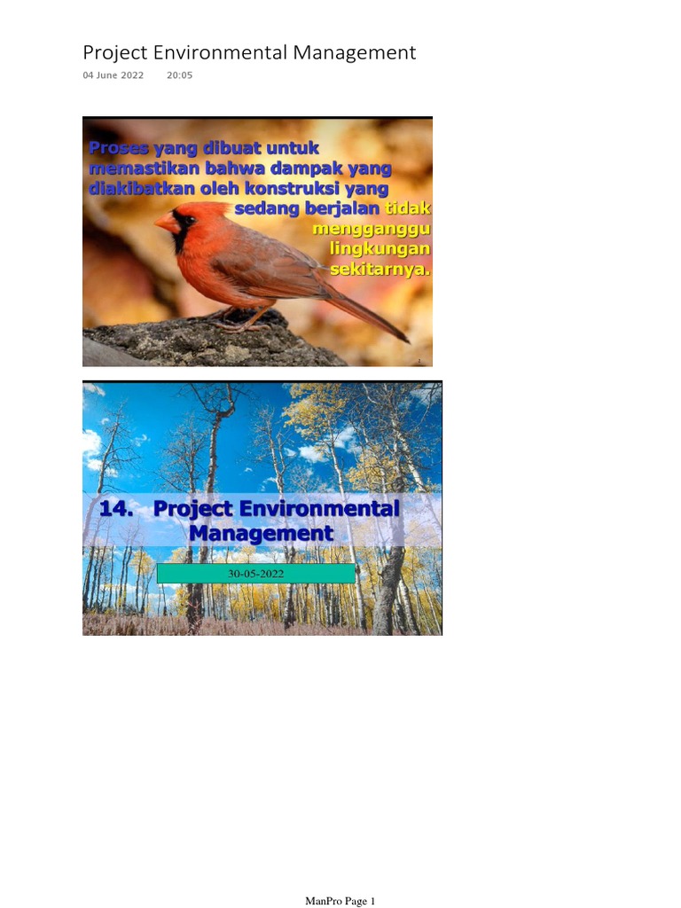 Project Environmental Management | PDF