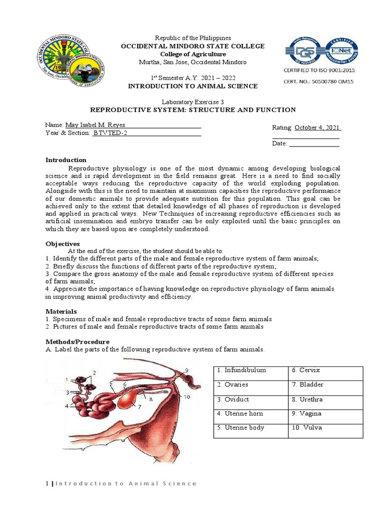 Reproductive Systems of Farm Animals | PDF | Uterus | Penis