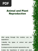 Plant Kingdom Notes | PDF | Biology | Horticultural Techniques