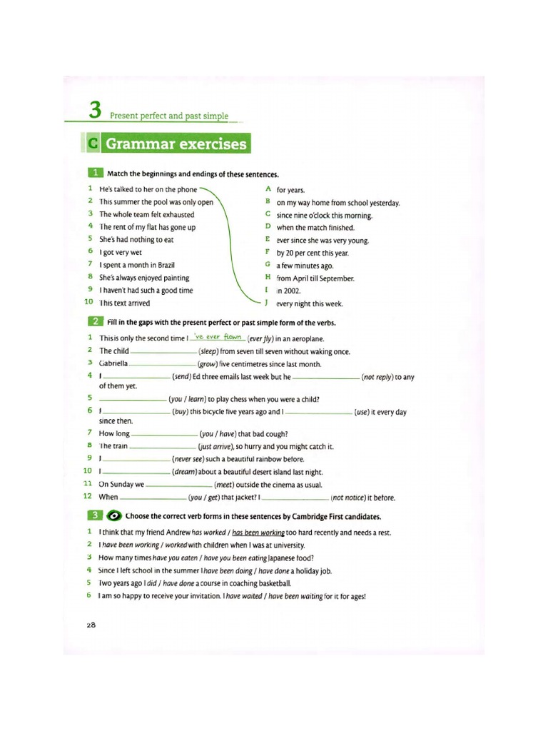 Exercises Present Perfect | PDF