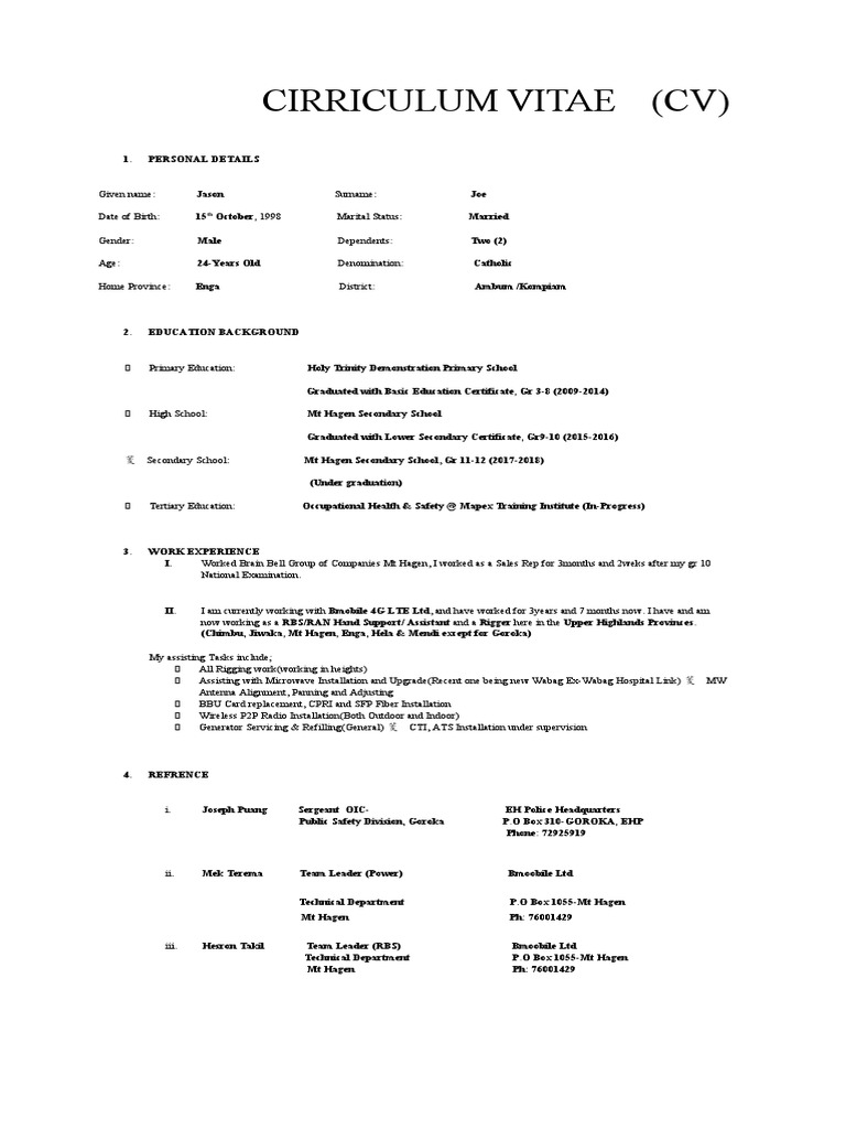 Jason Joe's Curriculum Vitae Detailing His Educational Background and Work Experience as a Sales ...